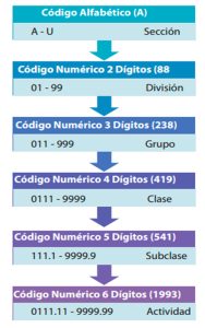 ¿Sabes que es la CIIU? – Todo Comercio Exterior